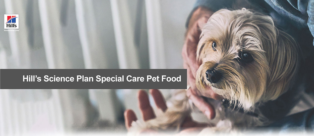 Science Plan Perfect Weight| Hill's Transforming Lives